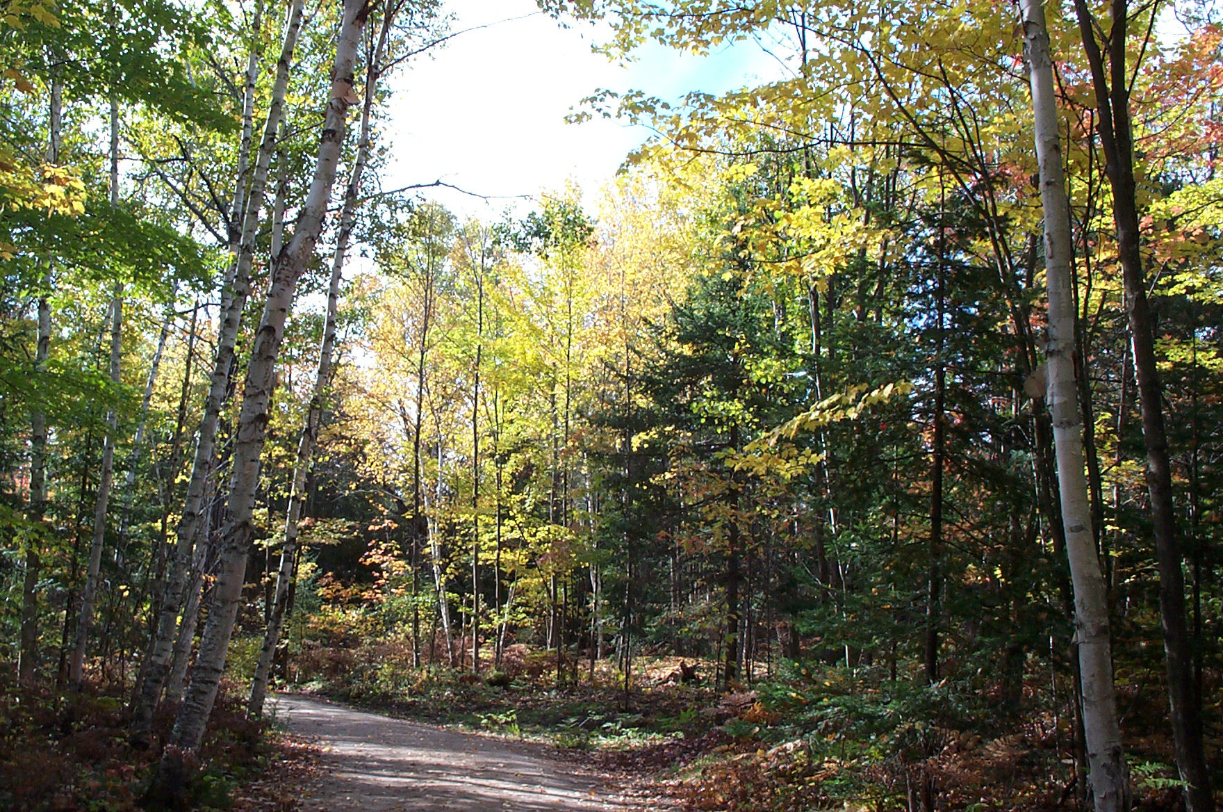 Sports & Recreation | Visiting Us | Municipality of Callander