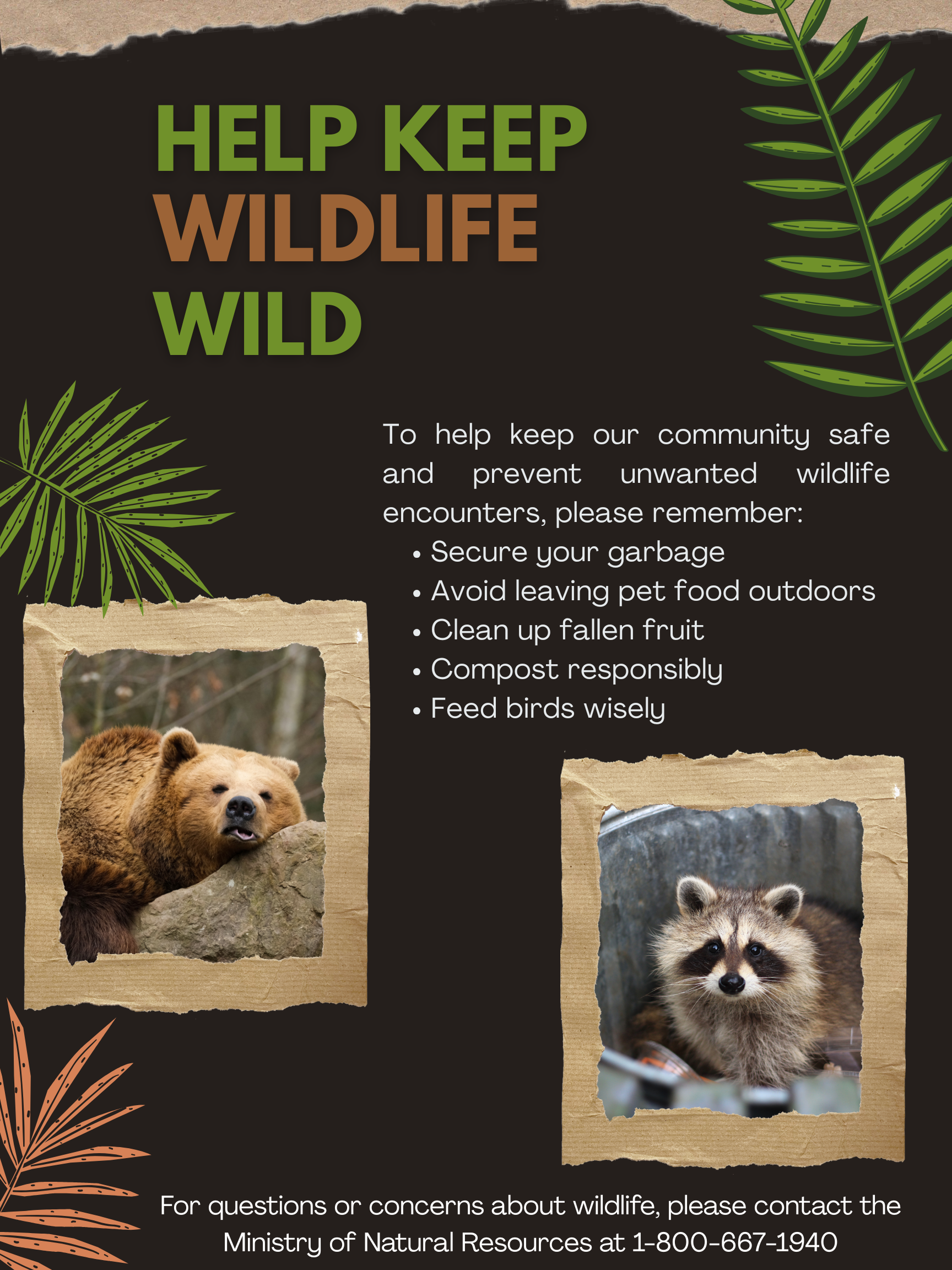 Fall Reminder: Help Keep Wildlife Wild! | News & Alerts | Municipality ...