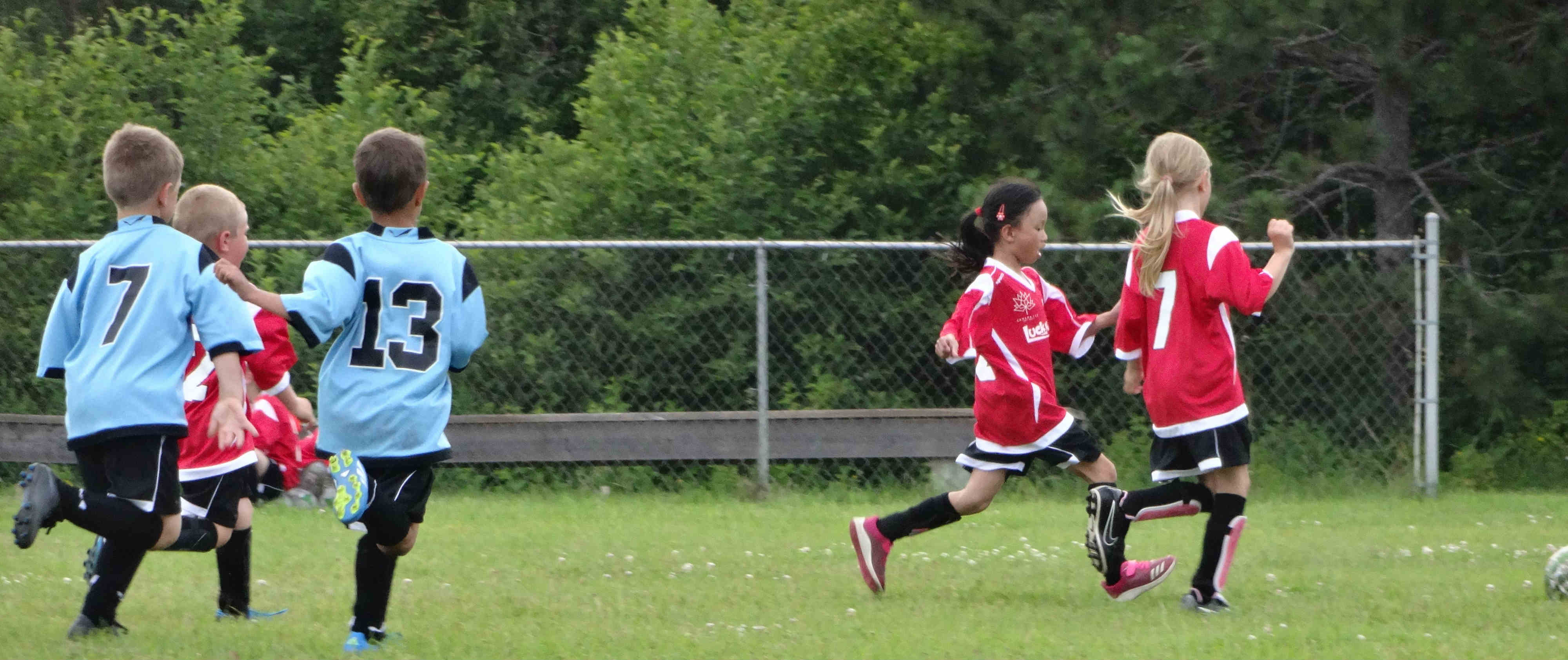 Parks & Facilities | Municipal Services | Municipality of Callander